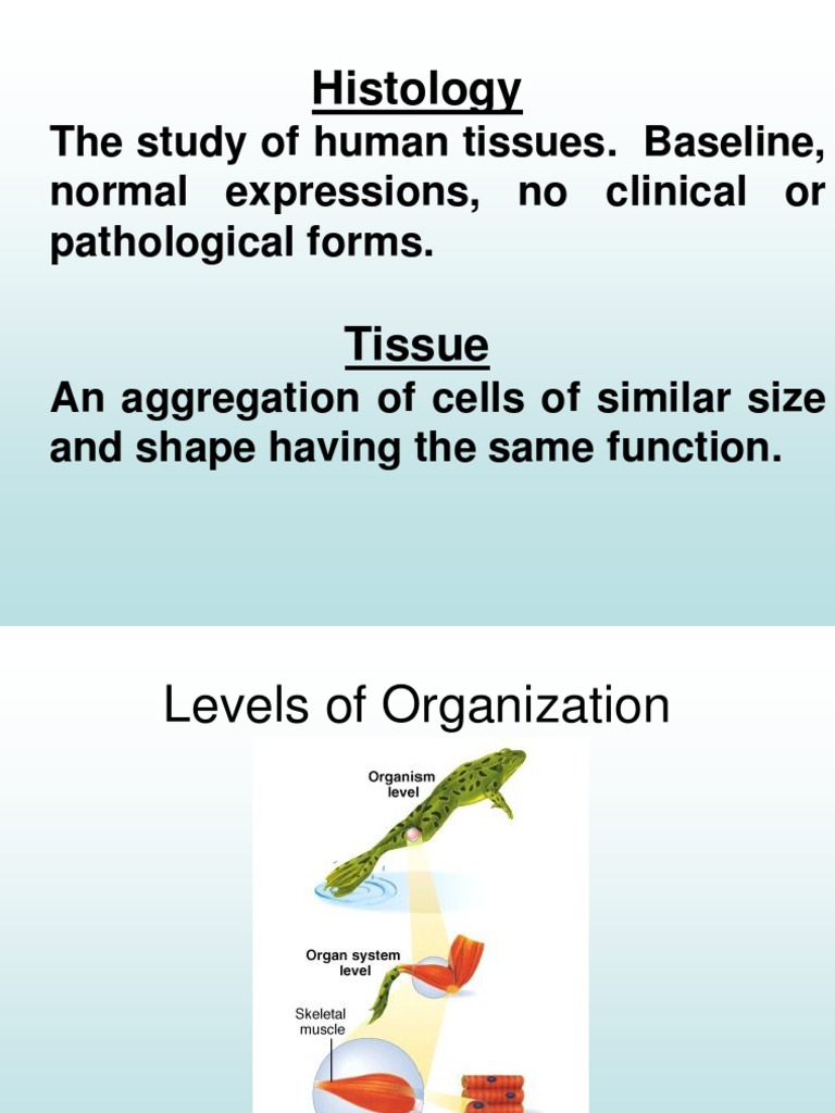 The Study of Human Tissues. Baseline, Normal Expressions, No Clinical ...
