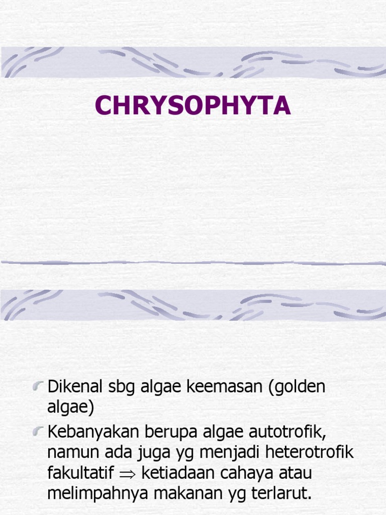 CHRYSOPHYTA | PDF