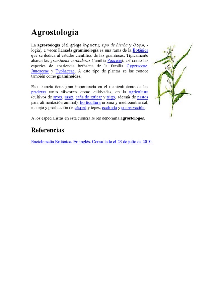 Introducción a la Agrostología | PDF