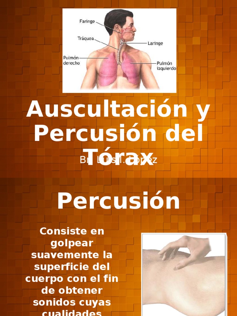 Auscultación y Percusión del Tórax | Enfermedades respiratorias | Tórax ...