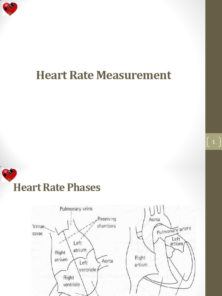 Heart Rate Measurement.pptx | Heart Rate | Heart