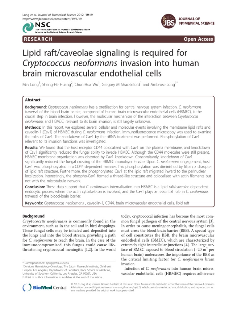 Lipid Raft/caveolae Signaling Is Required For Cryptococcus Neoformans ...