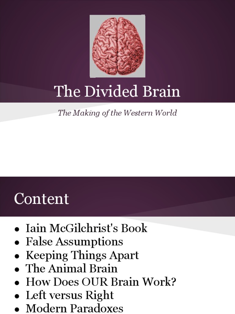 The Divided Brain