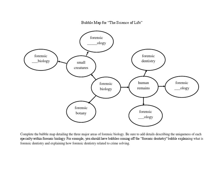 Forensic Biology Bubble Map Guide | PDF | Law Enforcement Techniques ...