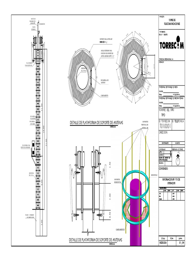 Detalles Generales de Monopolo | PDF