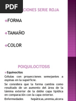 Reporte de Extendido de Sangre Periférica | PDF | Plaqueta | Leucocito