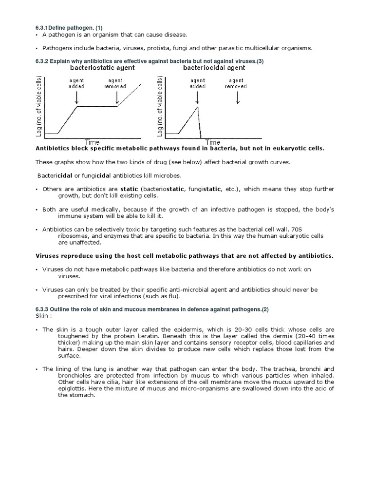Bio 6.3 and 6.4 IB | PDF | Antibody | Respiratory System