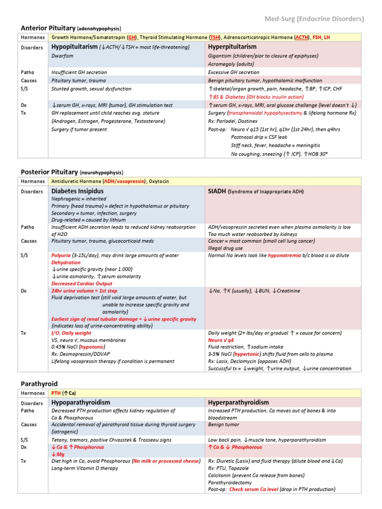 Endocrine Nursing | PDF | Thyroid | Hyperthyroidism