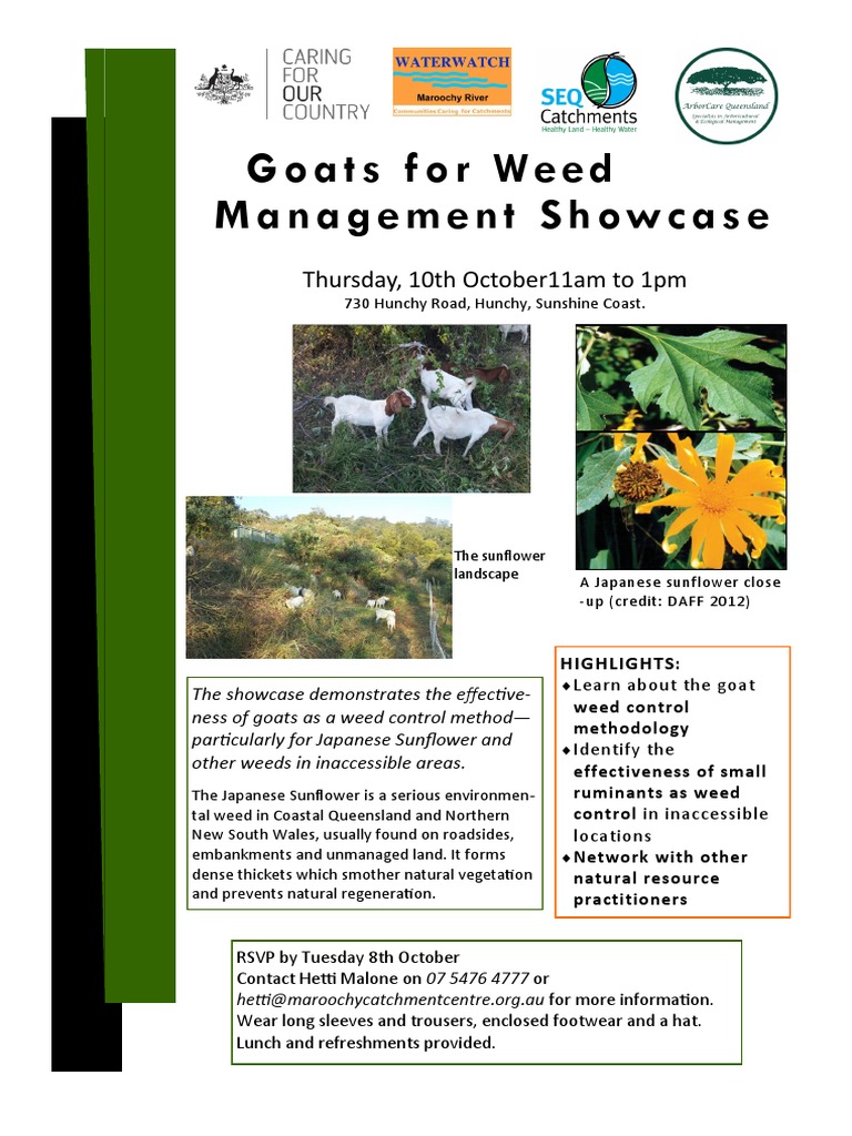Goats For Weed Management Showcase | PDF | Home & Garden