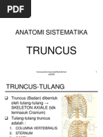 Anatomi Trunkus Manusia | PDF