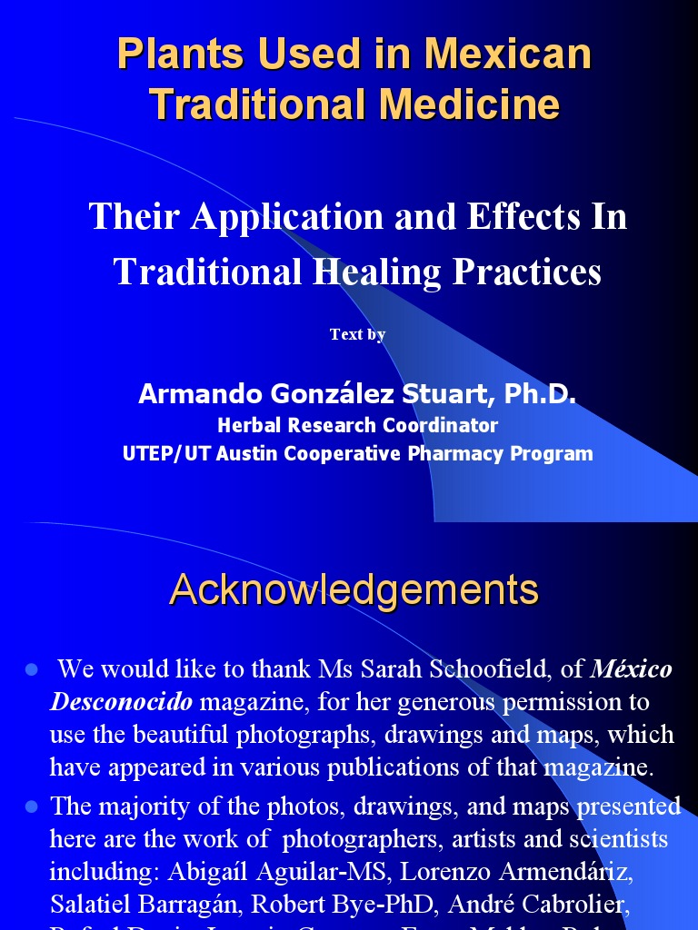 Mexican Traditional Medicinal Plants | PDF | Traditional Medicine ...