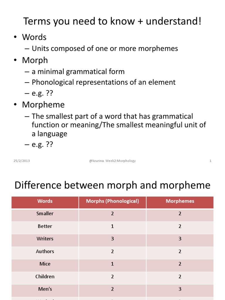 Terms You Need To Know + Understand!: - Words - Morph | PDF