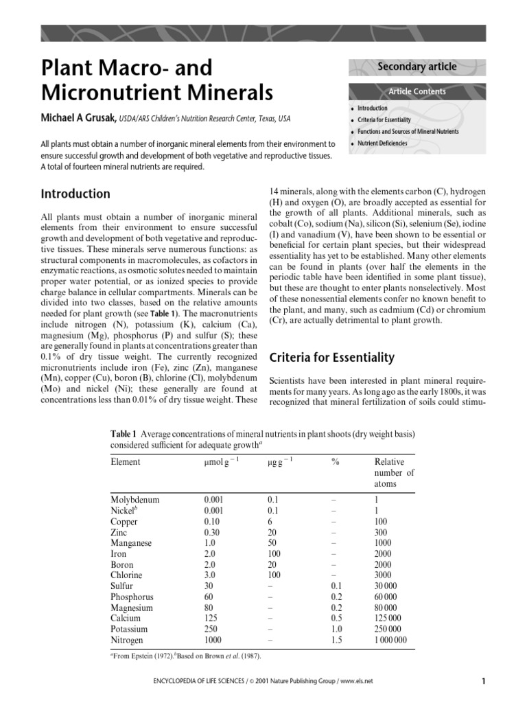 Plant Macro-And Micronutrient Minerals | Nutrients | Metabolism