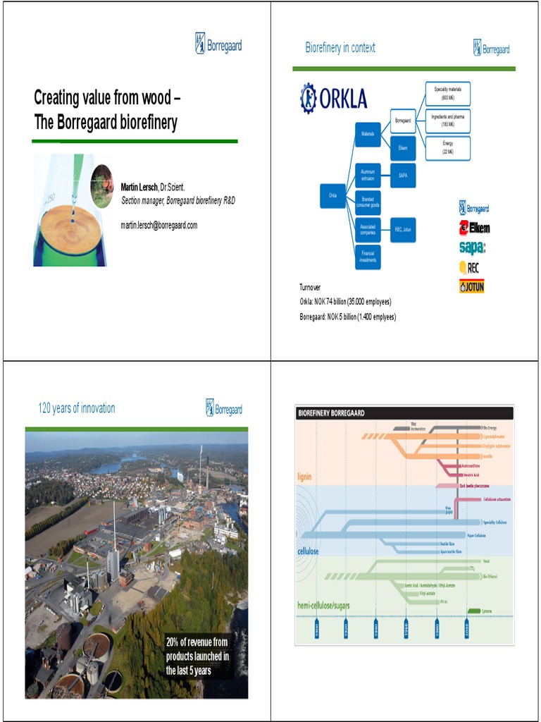 Borregaard Biorefinery Overview | PDF | Biofuel | Biomass