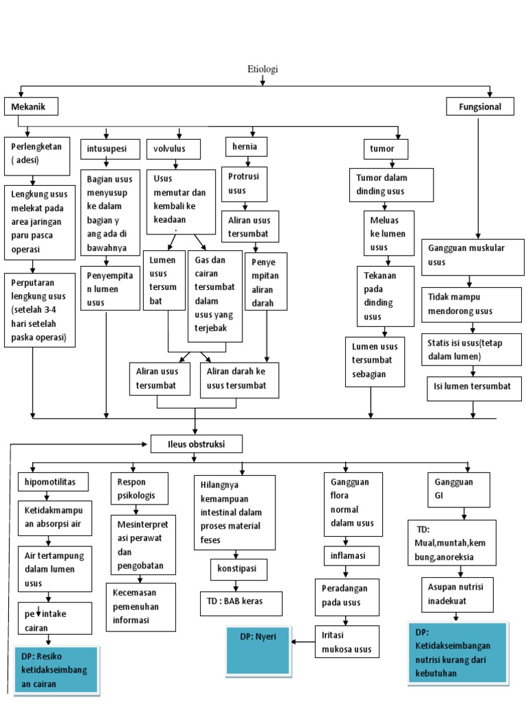 Pathway Ileus | PDF | Sains & Matematika