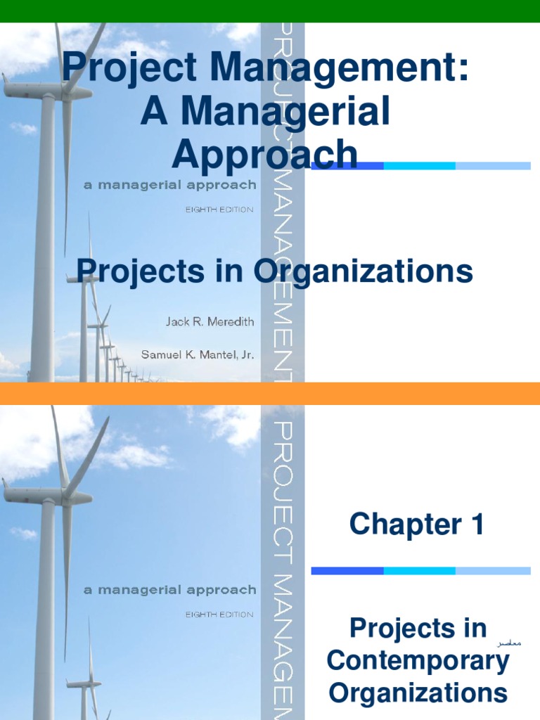 Project Management: A Managerial Approach: Projects in Organizations ...