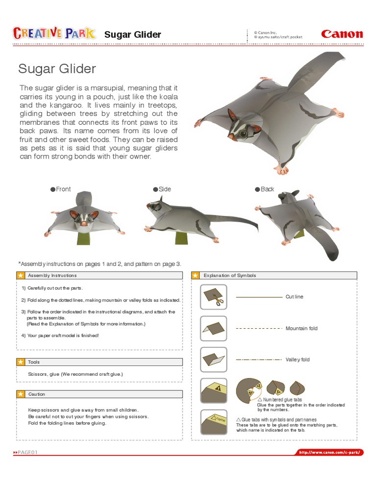 Sugar Glider Papercraft Instructions | PDF | Foreign Language Studies ...