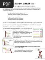 Grading Rubric For DNA Model | PDF | Dna | Base Pair