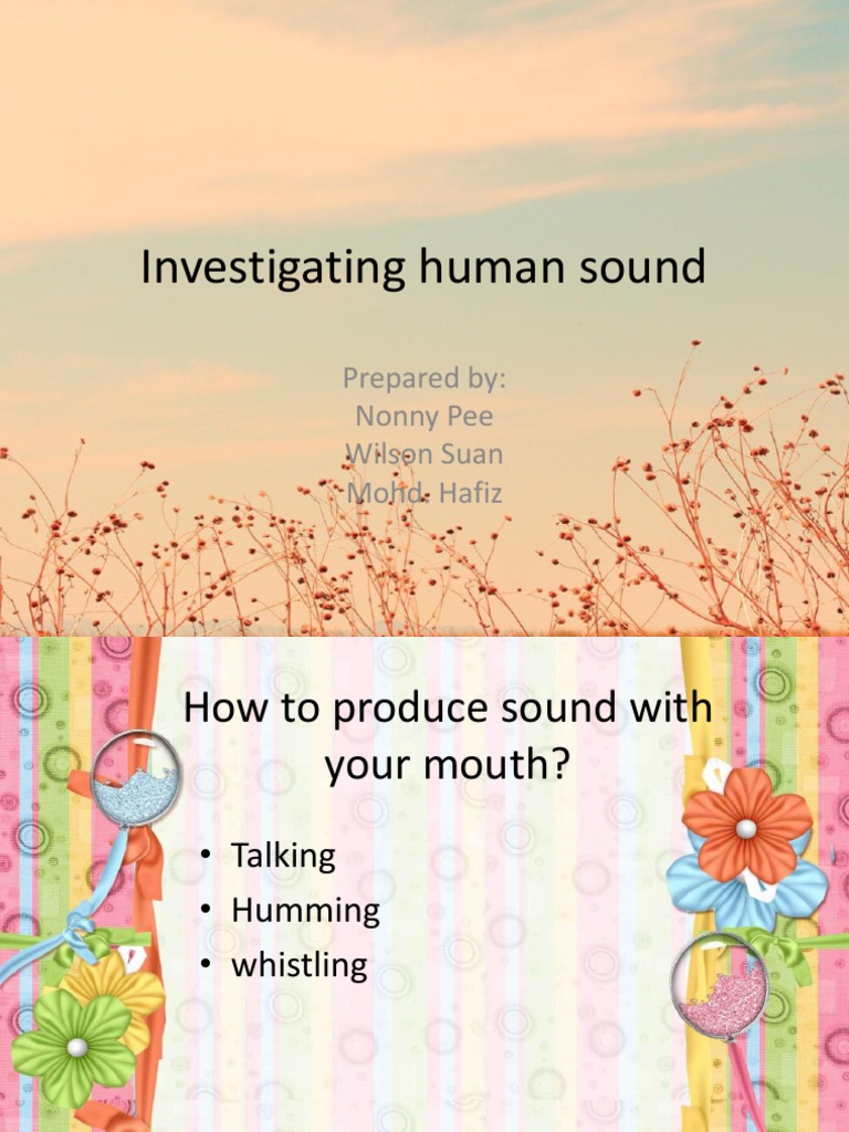 Investigating Human Sound: Prepared By: Nonny Pee Wilson Suan Mohd. Hafiz | PDF | Self-Improvement