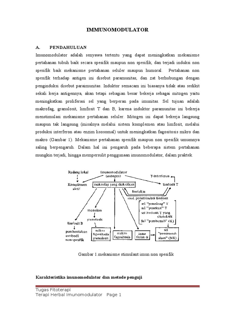 FT Immunomodulator | PDF