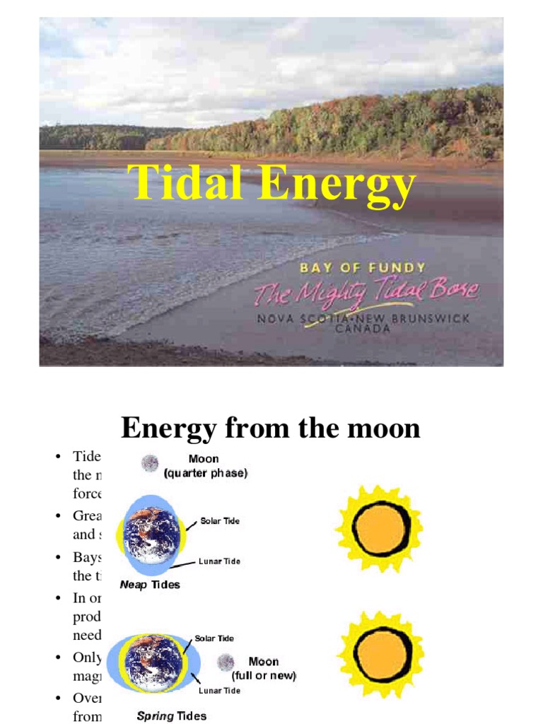 Tidal Energy | PDF