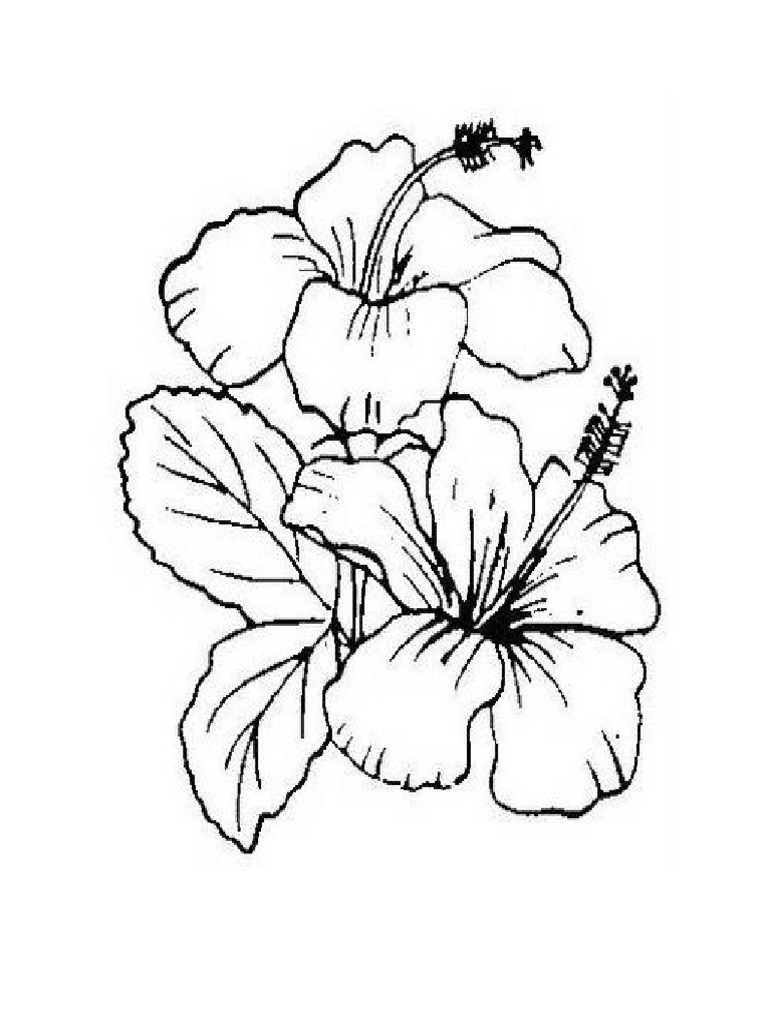 Bunga Raya Black And White