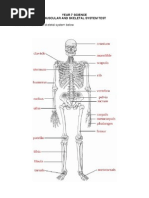 Skeletal and Muscular System GIU Grade 4 - With Ans Key | PDF | Muscle ...