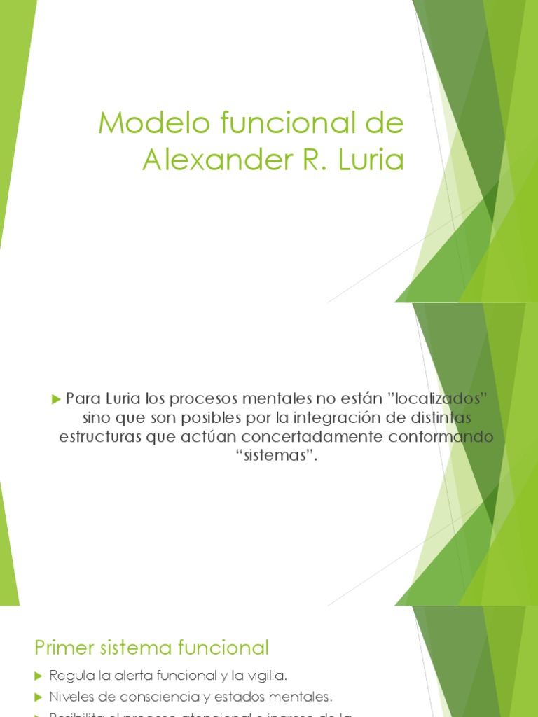 Modelo funcional de Luria en neuropsicología | PDF | Cerebro | Información