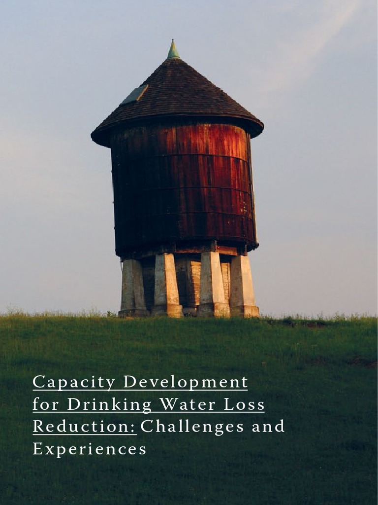 Capacity Development and Water Efficiency | PDF | Water Resources ...