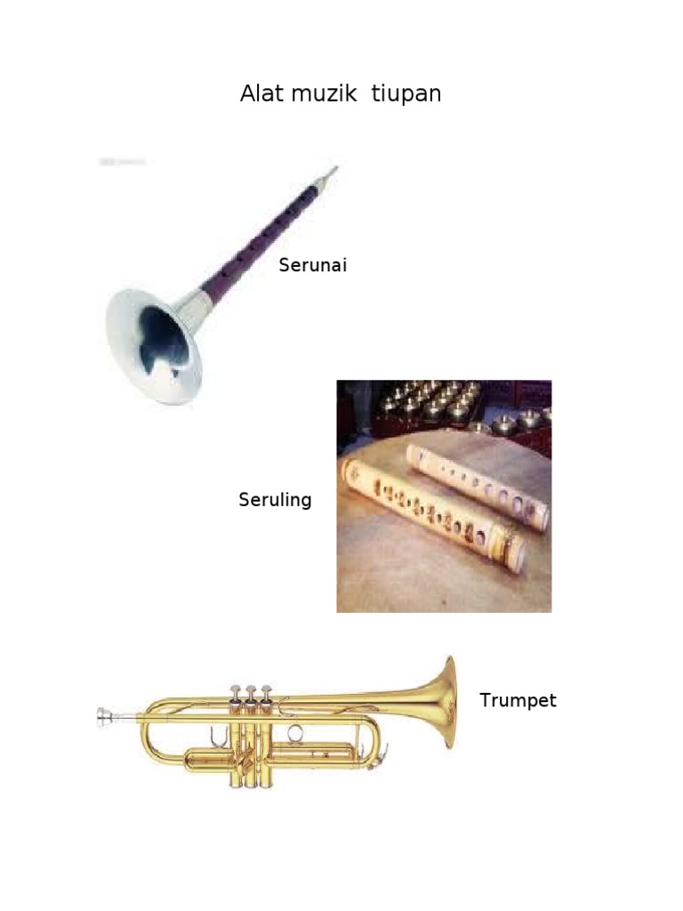 Alat Muzik Tiupan | PDF