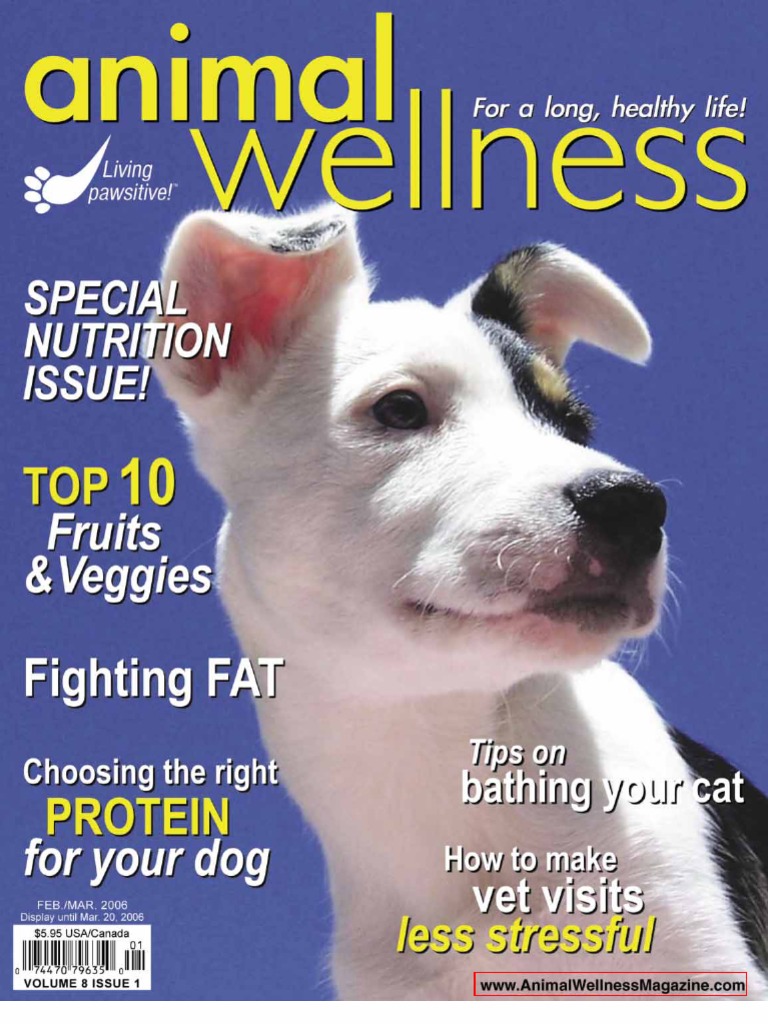 Animal Wellness Magazine February - March.2006 | PDF | Obesity ...