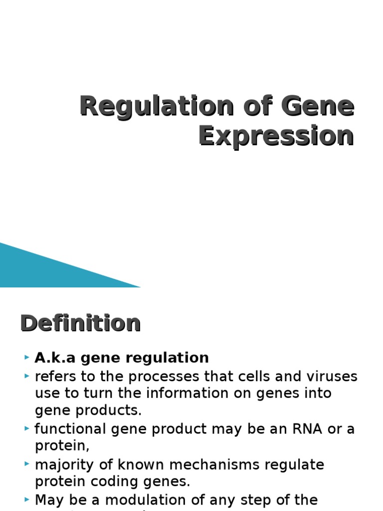 Regulation of Gene Expression | PDF | Regulation Of Gene Expression ...