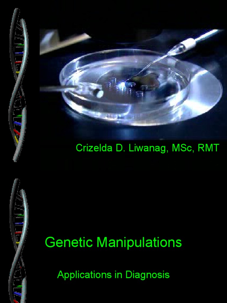 Applications of Microbial Genetics | PDF | Gene Therapy | Gene