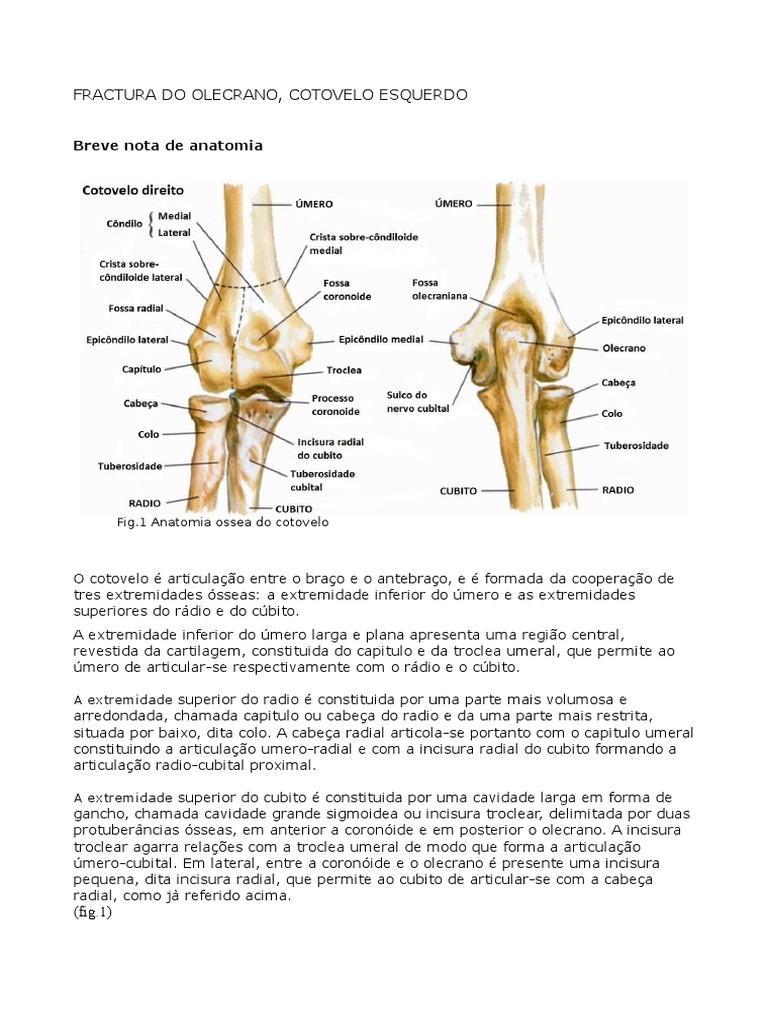 Trabalho de estágio, fractura do olecrano | Sistema Locomotor | Sistema ...