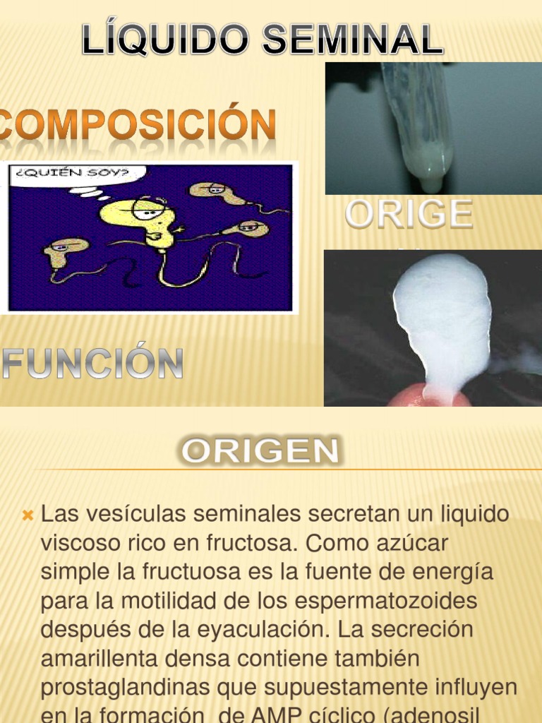 Líquido Seminal | PDF | Semen | Salud y bienestar