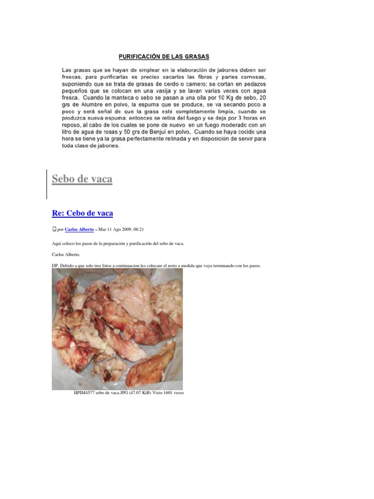 Sebo de Vaca | PDF | Sustancias químicas | Compuestos químicos