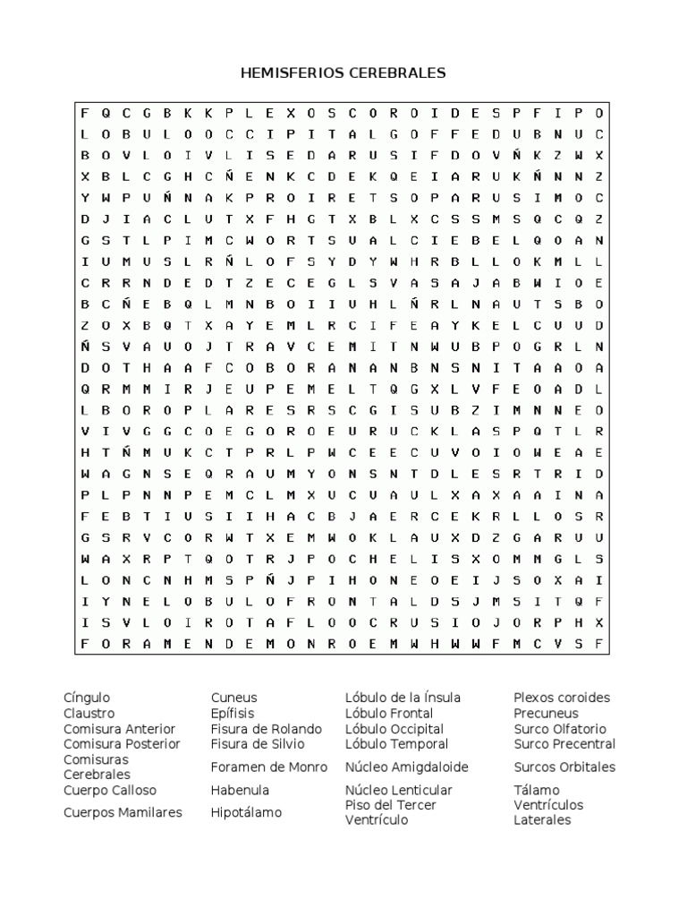 Sopa de letras: partes del cerebro | PDF