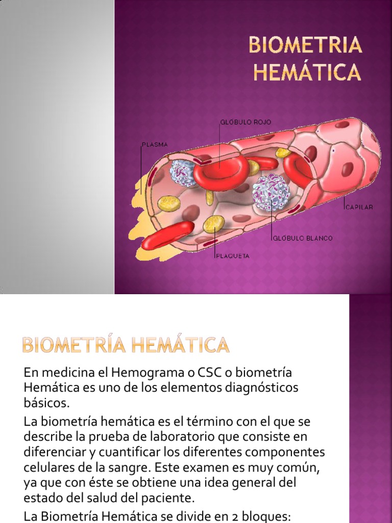 Biometria Hemática | PDF | Leucocito | Glóbulo rojo