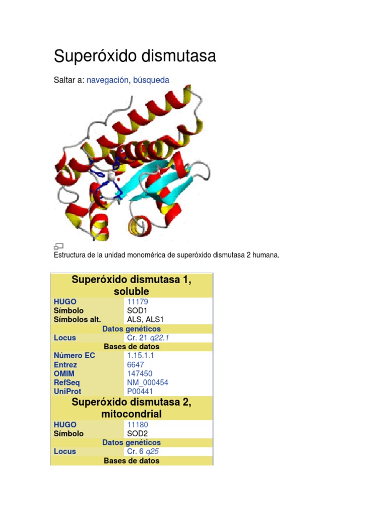 Superóxido dismutasa | Superóxido dismutasa | Bioquímica