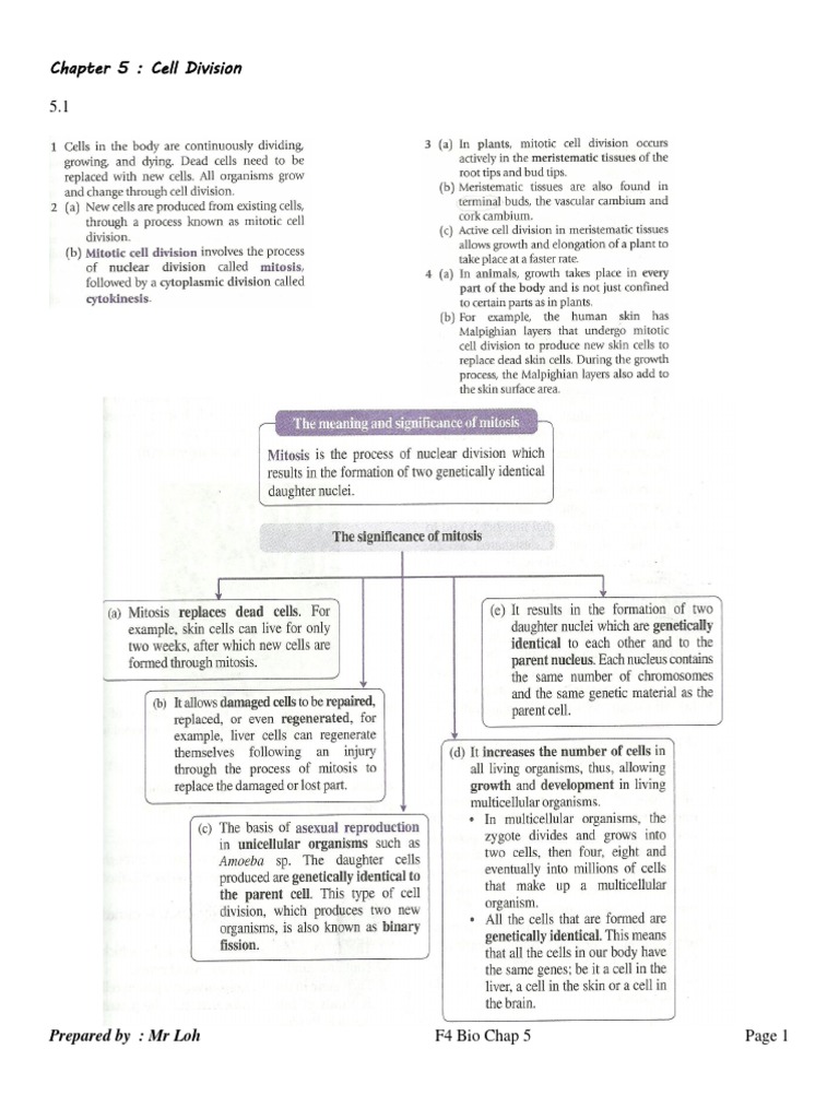 Chapter 5: Cell Division 5.1: Prepared By: MR Loh | PDF | Science ...