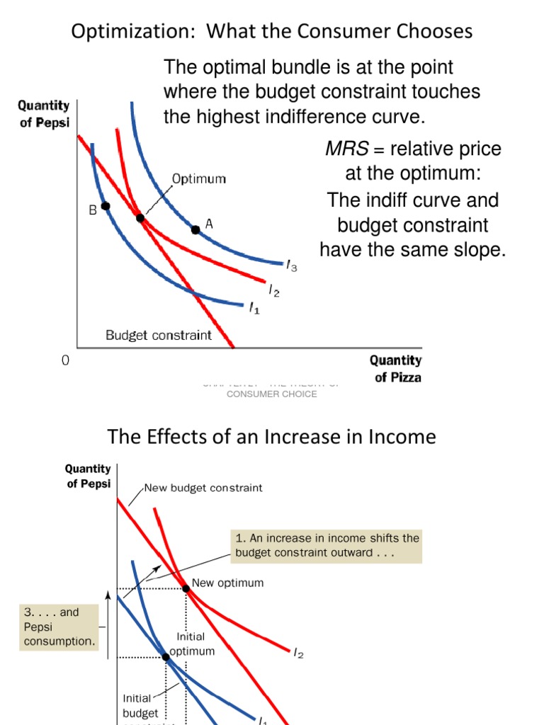 Optimization: What The Consumer Chooses | PDF