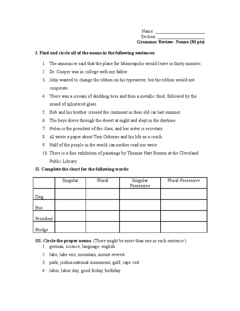 Noun Grammar Review Worksheet | PDF