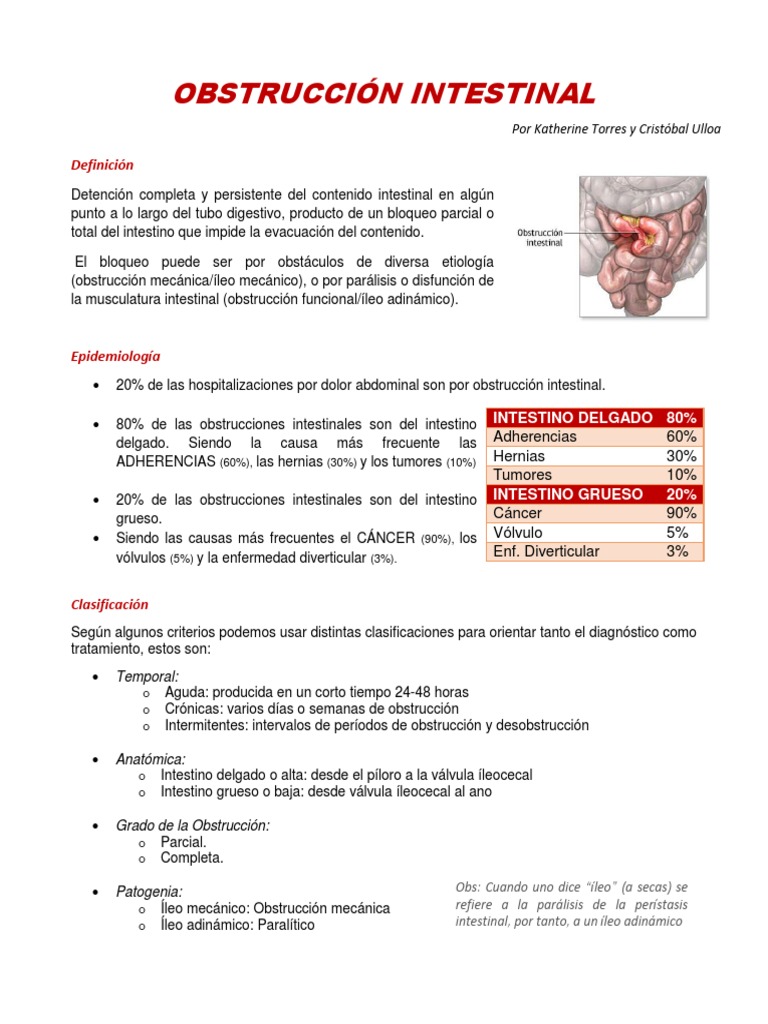 Obstrucción Intestinal: Guía Clínica | PDF | Especialidades Medicas ...