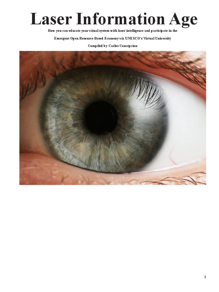 Laser Information Age Book Print | PDF | Classified Information