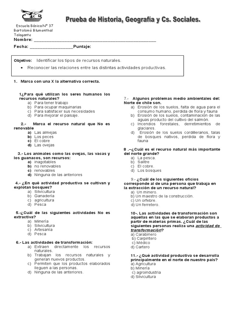 Prueba Recursos Naturales | PDF | Minería | Cobre