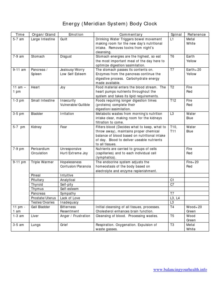 Energy Meridian System Body Clock | PDF | Blood | Digestion