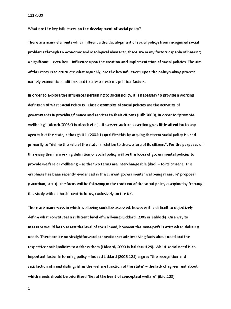 Social Policy Essay | PDF | Social Policy | Policy