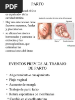 Atención Del Parto Limpio y Seguro | PDF | Parto | Embarazo humano