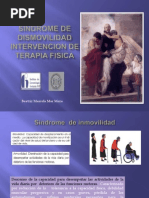 Qué Es La PAFI-1 | PDF