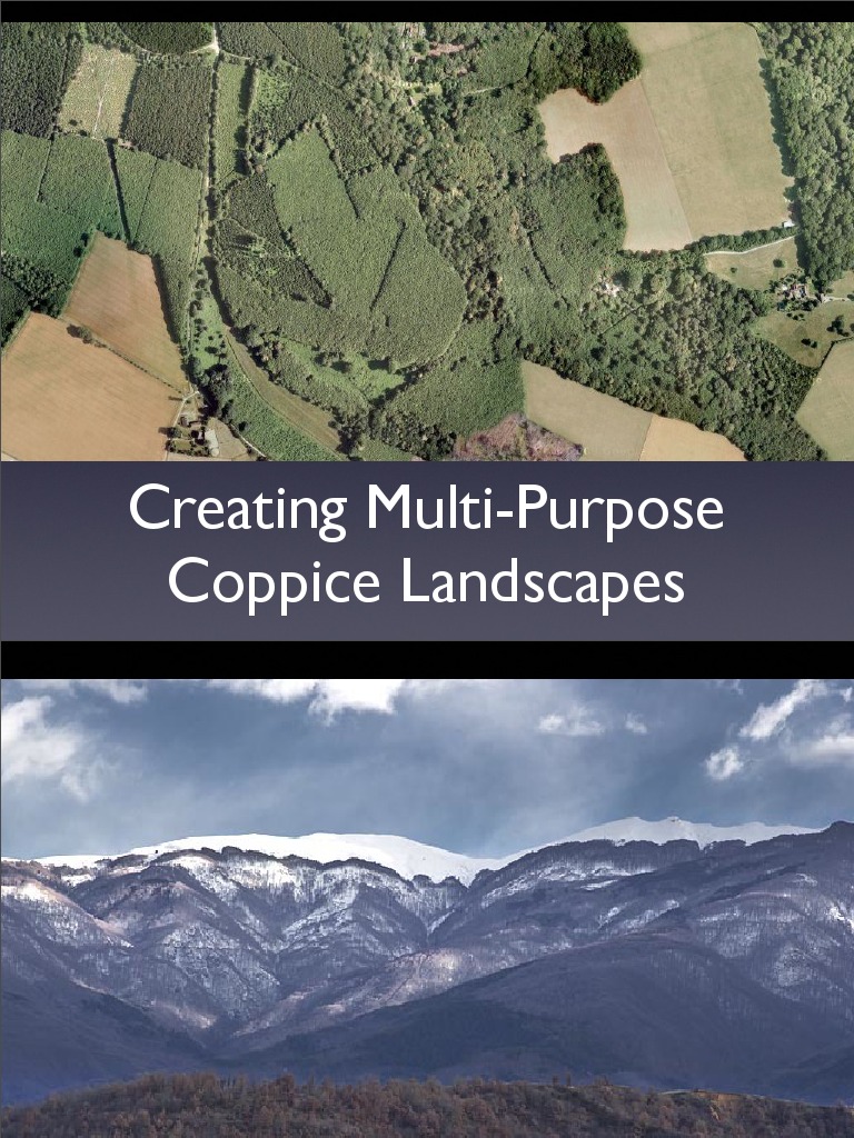 Coppice Agroforestry | PDF | Crop Rotation | Trees